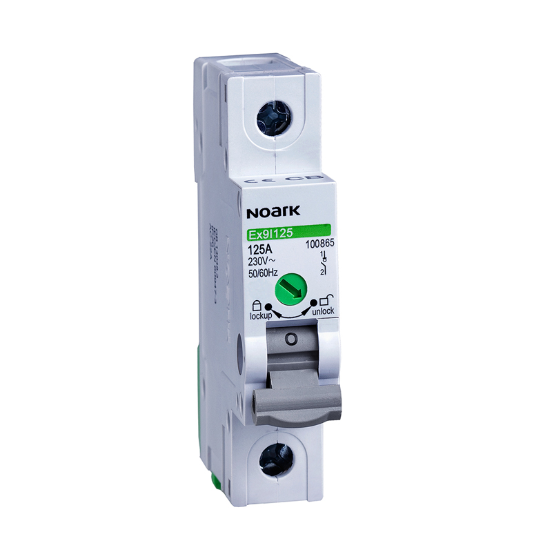 AC Circuit Breakers Ex9I125 1P 125A, Isolators - DKSH Cables ...